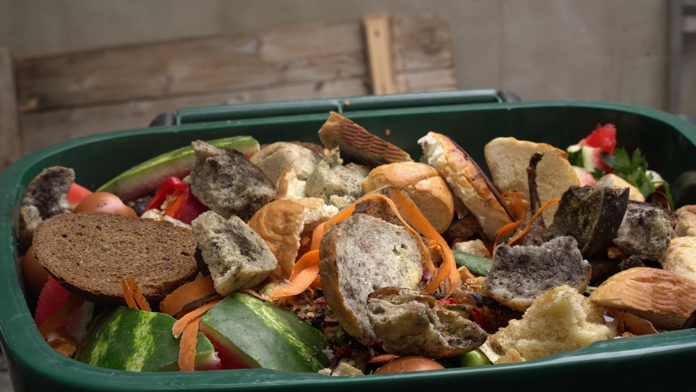 Key Contributors to Food Waste at Production Sites | CDF